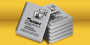 Guía NIOSH - GRE 2024 – PERU